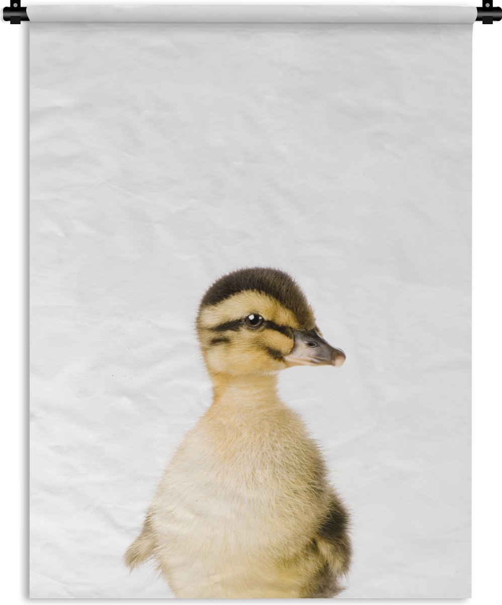 Eend - Geel - Dieren - Natuur | bol.com