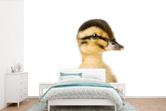 Eend - Geel - Dieren - Natuur - Behangpapier | bol