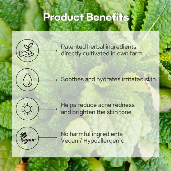 Meideme Green Salvia Treatment Toner 200 ml | bol.com