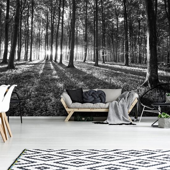 Fotobehang - Vlies Behang - Bos met Zonlicht - Zwart-wit - Zonnestralen ...