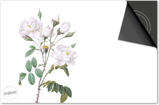 Inductie beschermer 78x52 - afdekplaat inductie mat - Dietrix Kookplaat ...