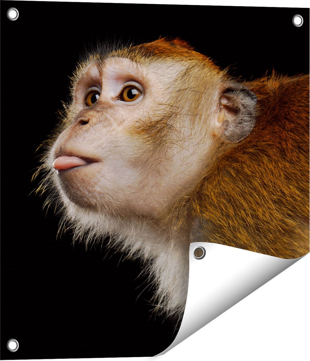 Gards Tuinposter Apenkop met Zijn Tong uit - Aap - 50x50 cm - Tuindoek ...