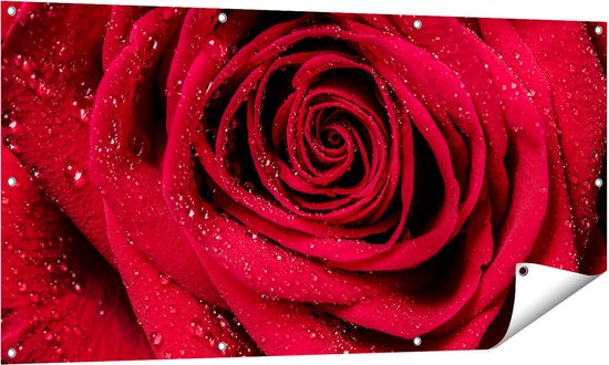 Gards Tuinposter Rode Roos met Waterdruppels - Bloem - 140x70 cm ...