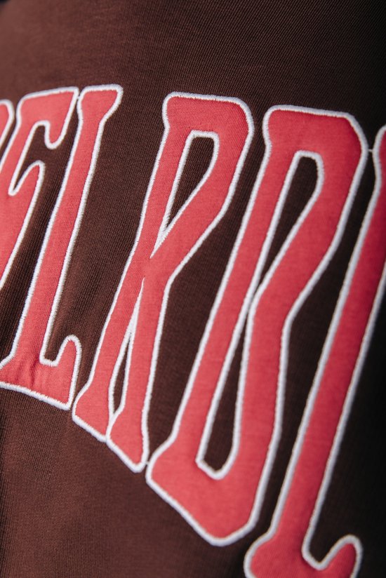 Colourful Rebel Clrfl Rbl patch Raw Edge Cropped Hoodie - XS | bol