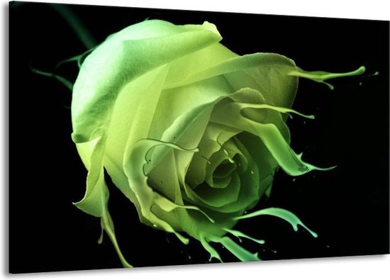 Schilderij Op Canvas - Groot - Roos - Groen, Zwart, - 140x90cm 1Luik ...