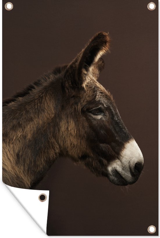 Muurdecoratie zijaanzicht van een ezel - 120x180 cm - Tuinposter ...