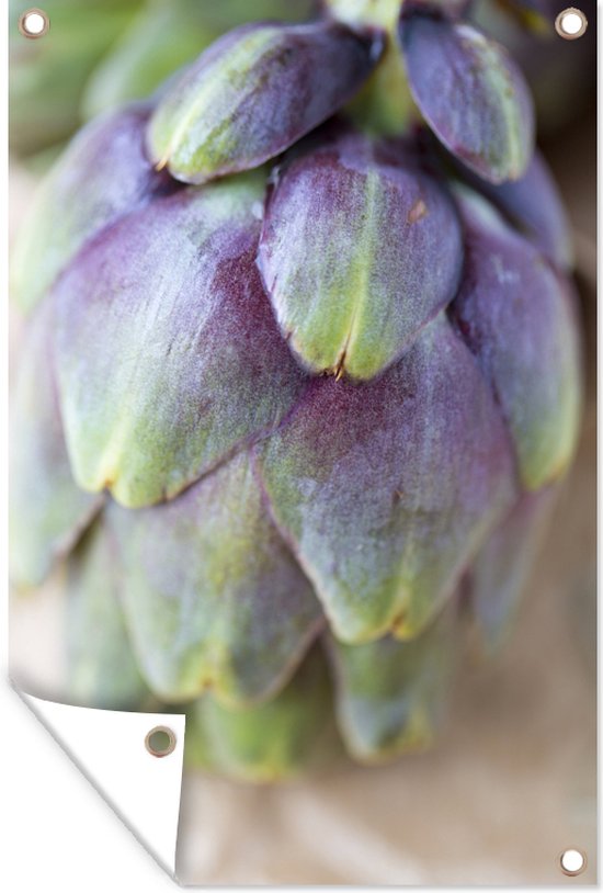 Tuindecoratie Close-up van de kop van een kardoen in detail - 40x60 cm ...