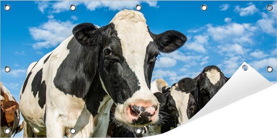 Affiche de jardin Vaches 100 x 50 cm incl. Anneaux en métal - (Affiche ...