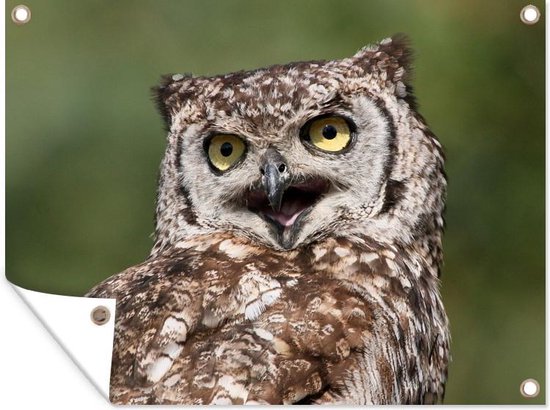 Tuin decoratie Bruine uil met zijn bek wijd open - 40x30 cm | bol.com
