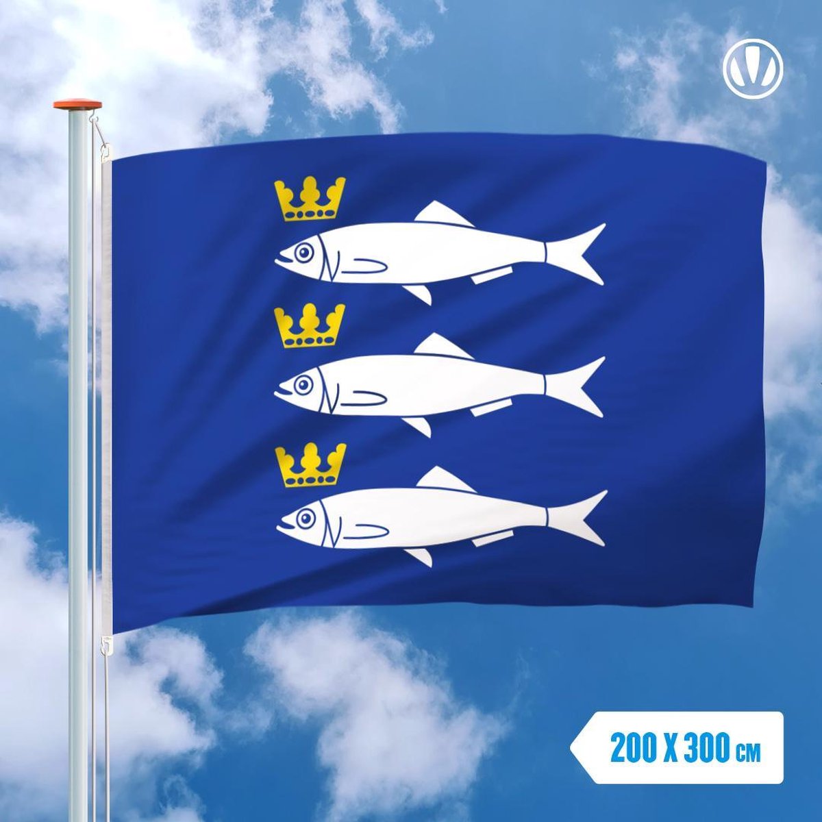 Vlag Scheveningen 200x300cm | bol.com