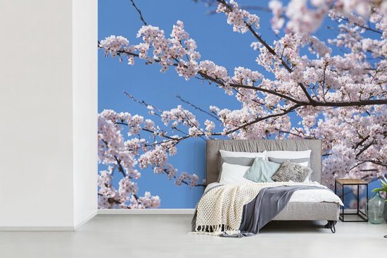 Behang - Fotobehang - Takken met kersenbloesem - Breedte 385 cm x ...