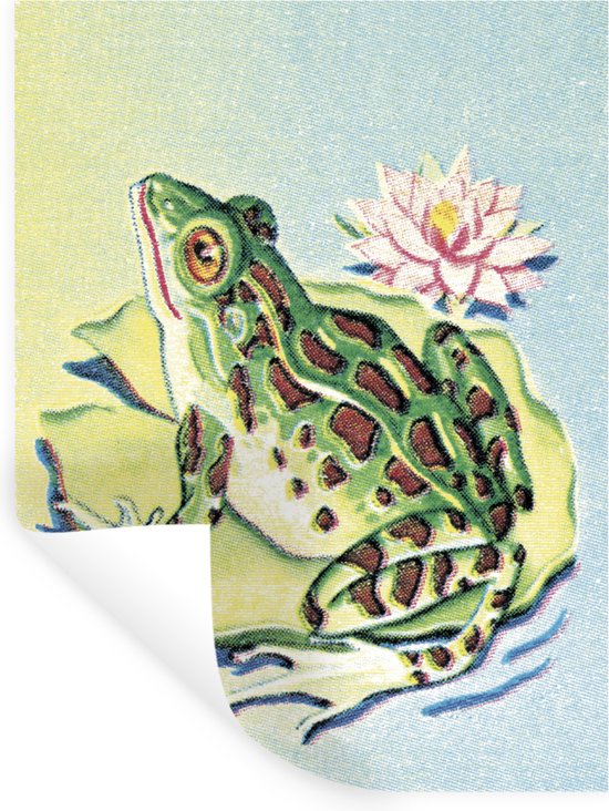 Muurstickers - Sticker Folie - Kikker - Lelie - Water - 120x160 cm ...
