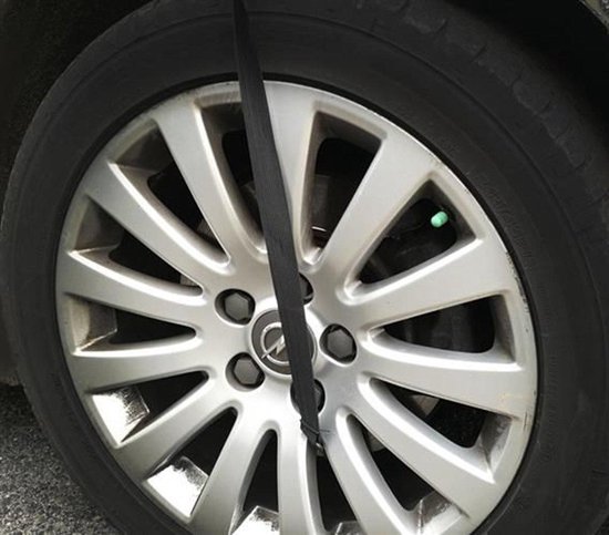 Universele Antivries Scherm Voorruit & Achterruit - Zonnewering | bol.com