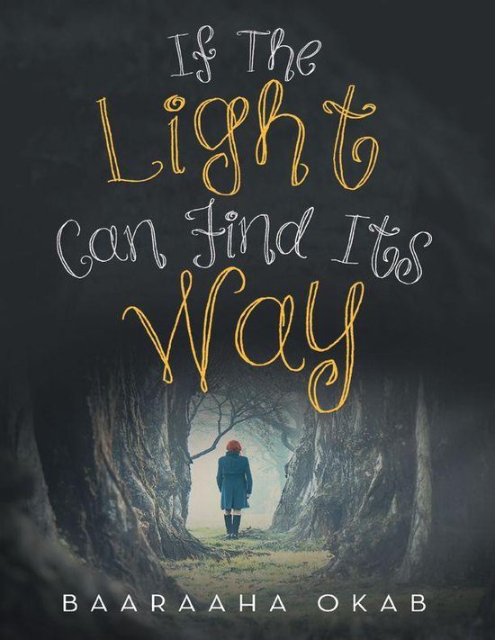 If the Light Can Find Its Way (ebook), Baaraaha Okab | 9781684700998 ...