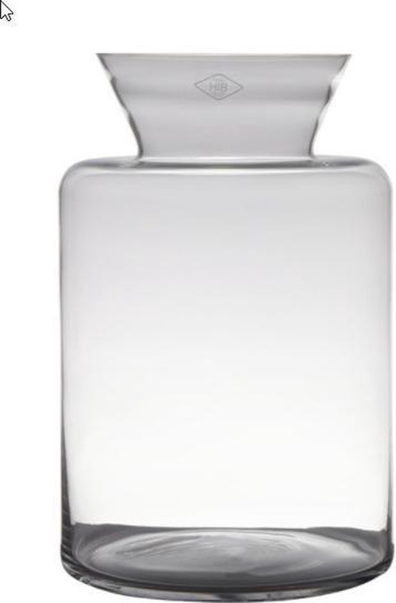 bol.com | Transparante luxe grote stijlvolle vaas/vazen van glas 37 x ...