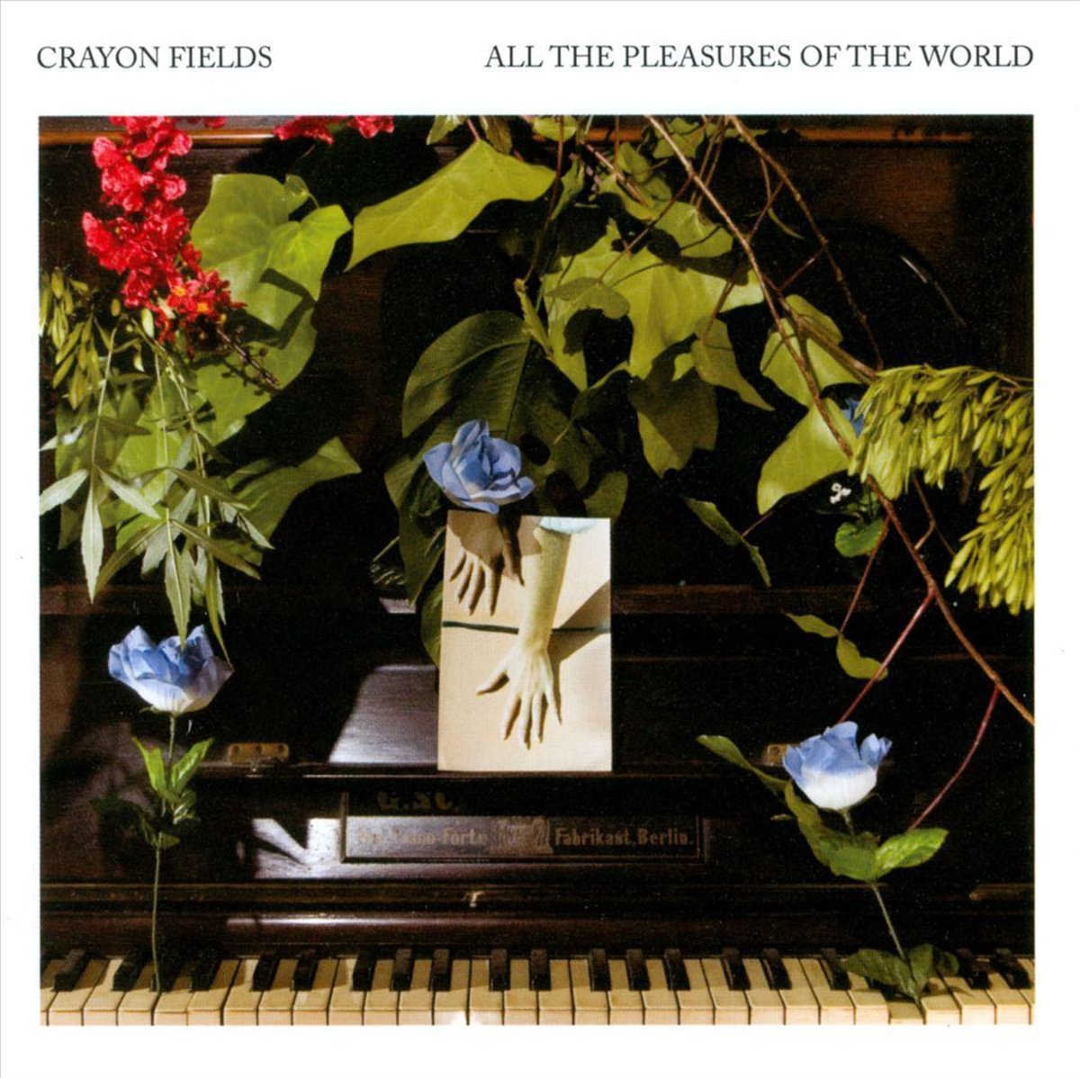 Crayon Fields - All The Pleasures Of The World (CD), Crayon Fields | CD ...