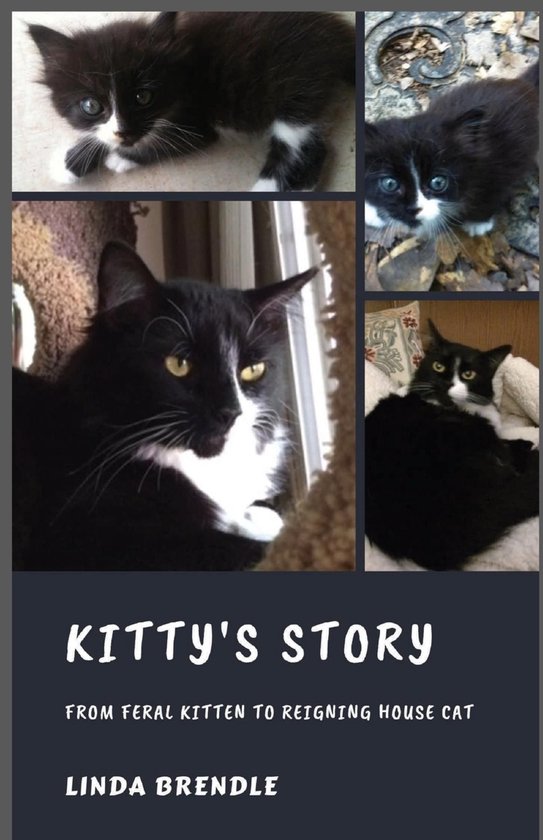 KITTY'S STORY (ebook), Linda Brendle | 9781734210811 | Boeken | bol.com