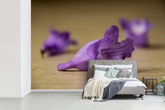 Behang - Fotobehang - Close-up van een Jacaranda bloem - Breedte 420 cm ...