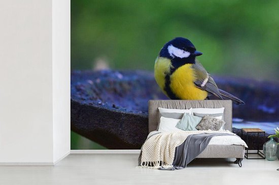Behang - Fotobehang Koolmees op een granieten vogelbad - Breedte 360 cm ...