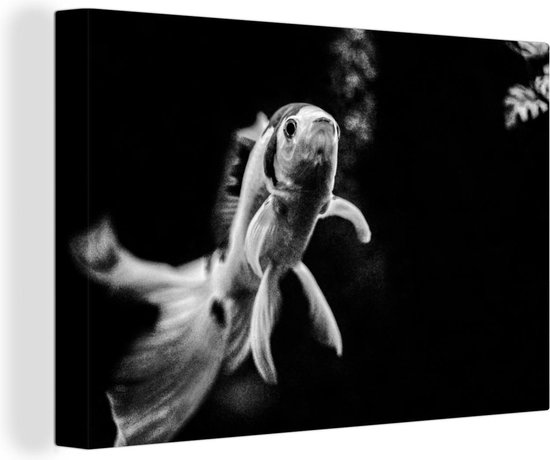 Canvas Schilderij Omhoog zwemmende goudvis in zwart-wit - 140x90 cm - Wanddecoratie | bol.com