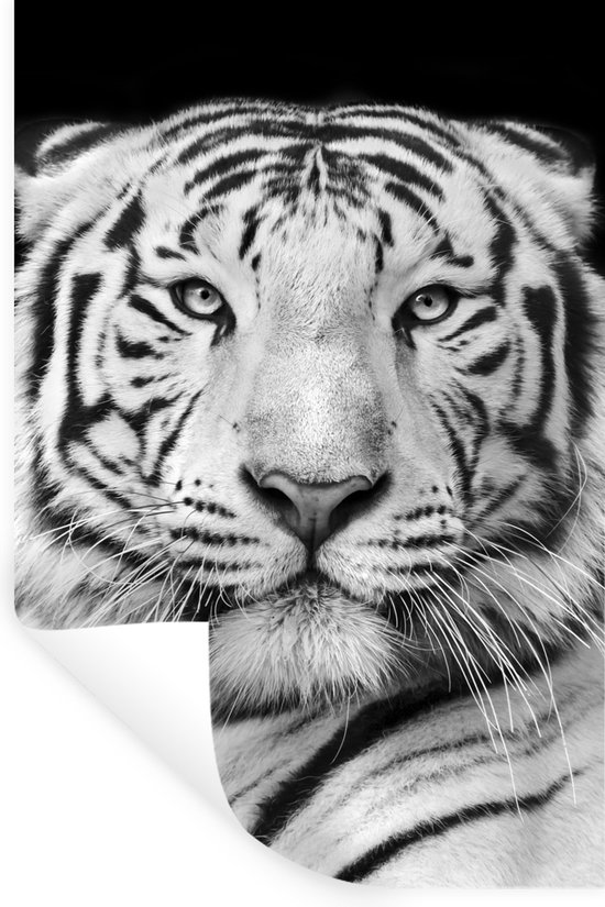 Muurstickers - Sticker Folie - Tijger - Zwart - Wit - Portret - Dieren - 20x30 cm -... | bol