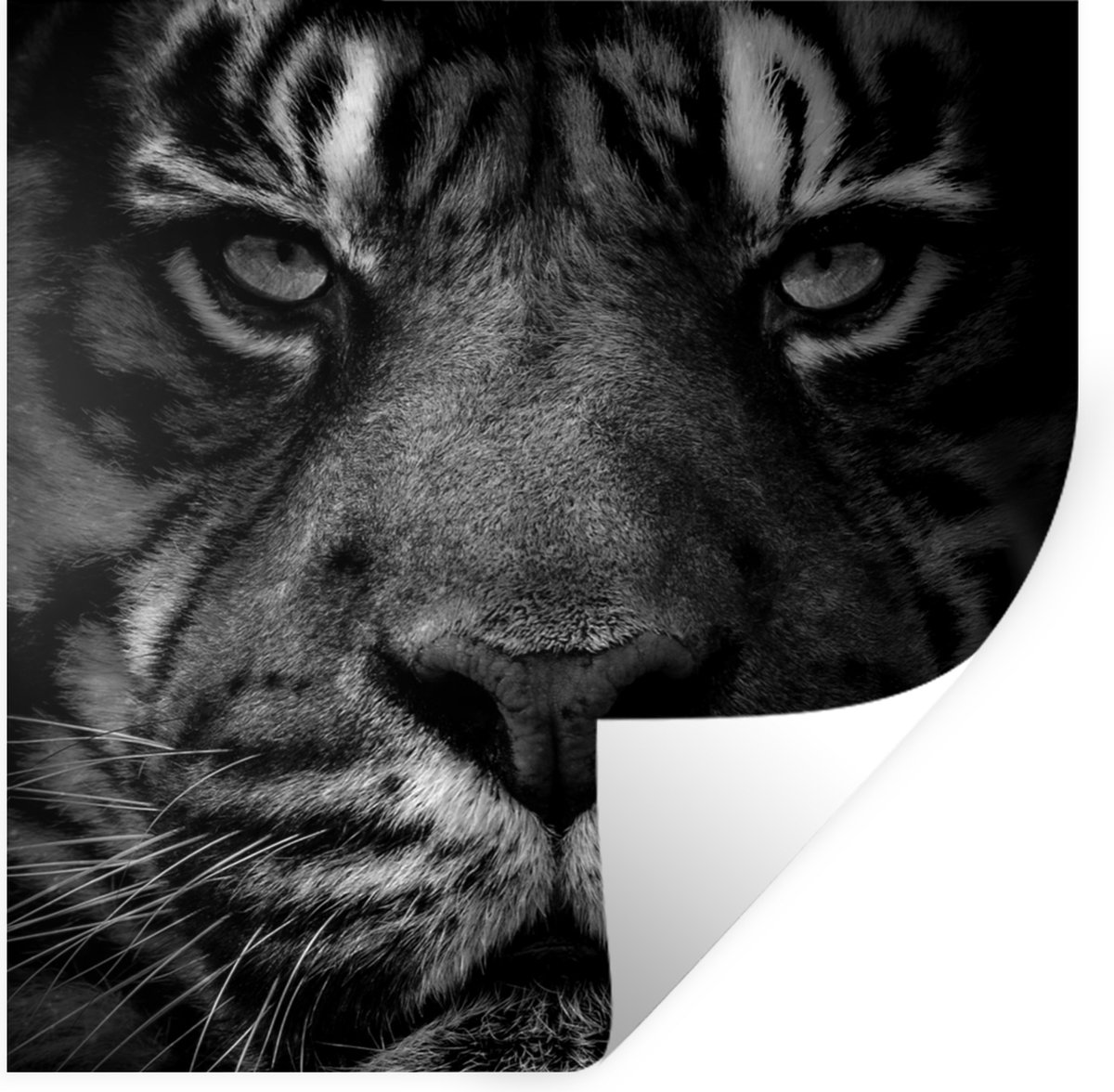 Muurstickers - Sticker Folie - Jungle - Tijger - Wilde dieren - Zwart - Wit - 50x50 cm... | bol