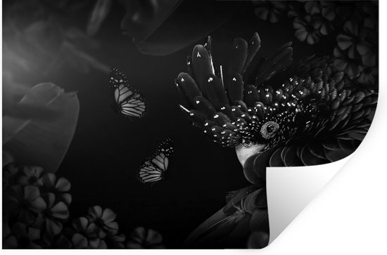 Muurstickers - Sticker Folie - Vogel en vlinders in de jungle - zwart wit - 30x20 cm -... | bol