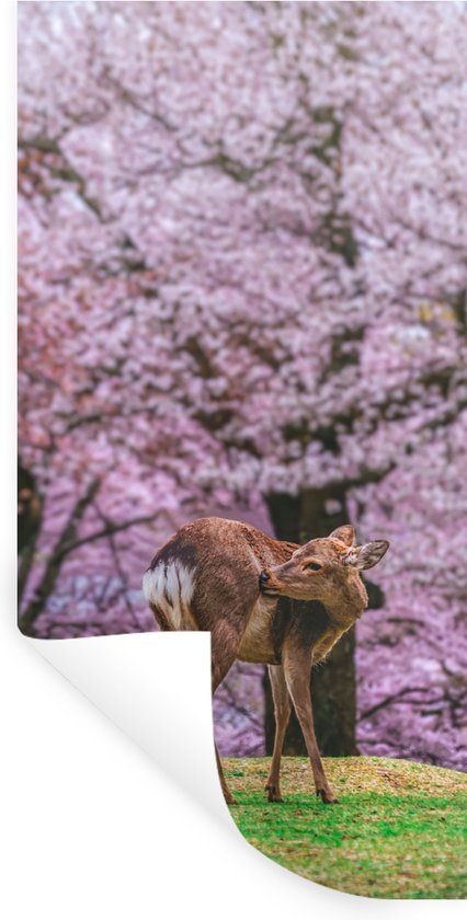 Muurstickers - Sticker Folie - Hert - Roze - Bloesem - 60x120 cm ...