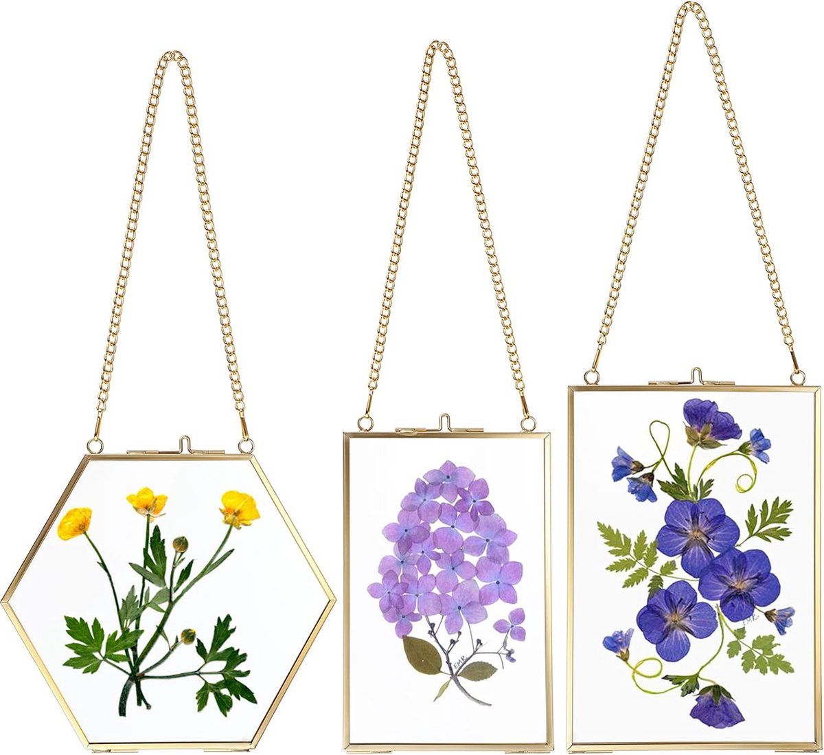3 stuks fotolijsten van glas, metaal, hangend glas, fotolijst, planten ...