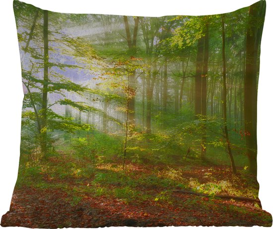 Buitenkussen Weerbestendig - Zon - Bos - Bomen - Natuur - Herfst ...