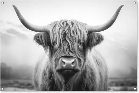 Tuinposter - Tuindoek - Tuinposters buiten - Schotse hooglander ...