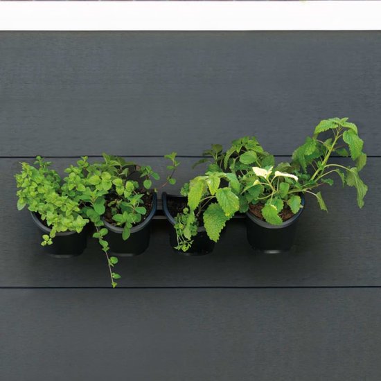 Nature - Verticale muurtuin - H12,5 x 60 x 16,6cm - complete set | bol