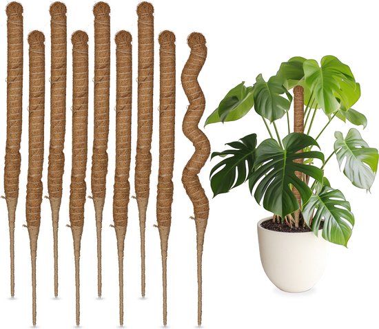 mosstok monstera - set van 10 - kokos - 60 cm - plantenstok | bol