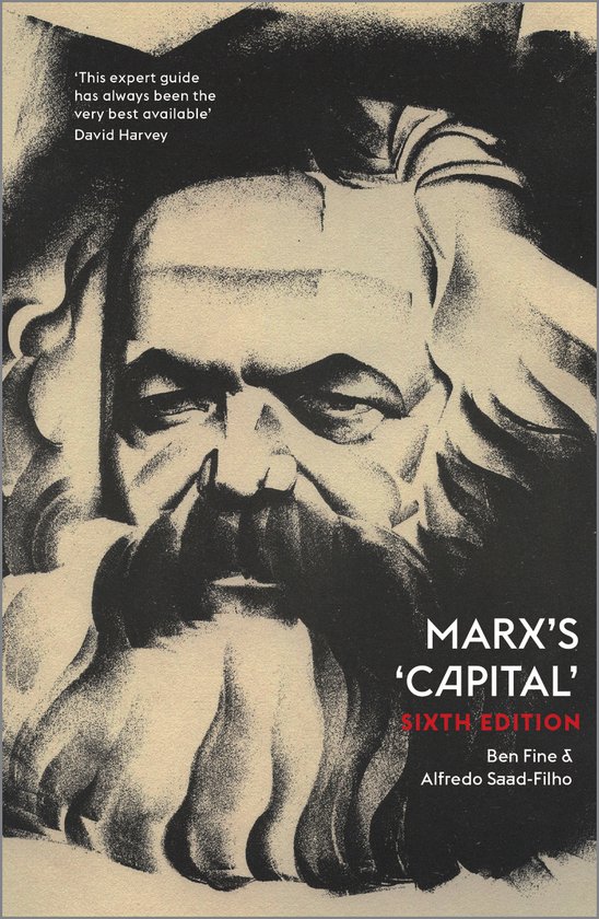 Marxs Capital 6th Ed | 9780745336978 | Ben Fine | Boeken | bol.com