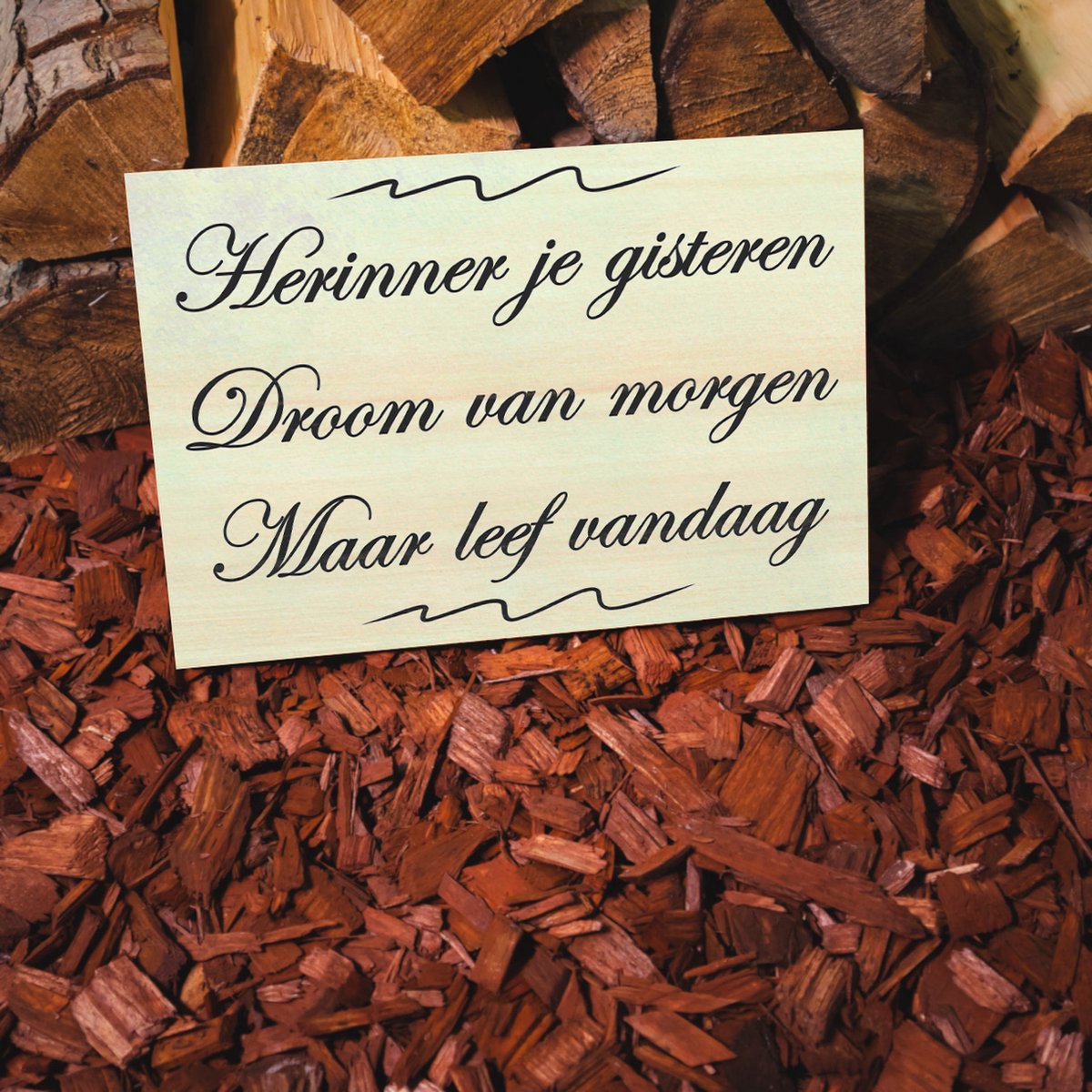 Spreukbord - Herinner Droom En Leef - Hout - Vintage - Grappig - Humor ...