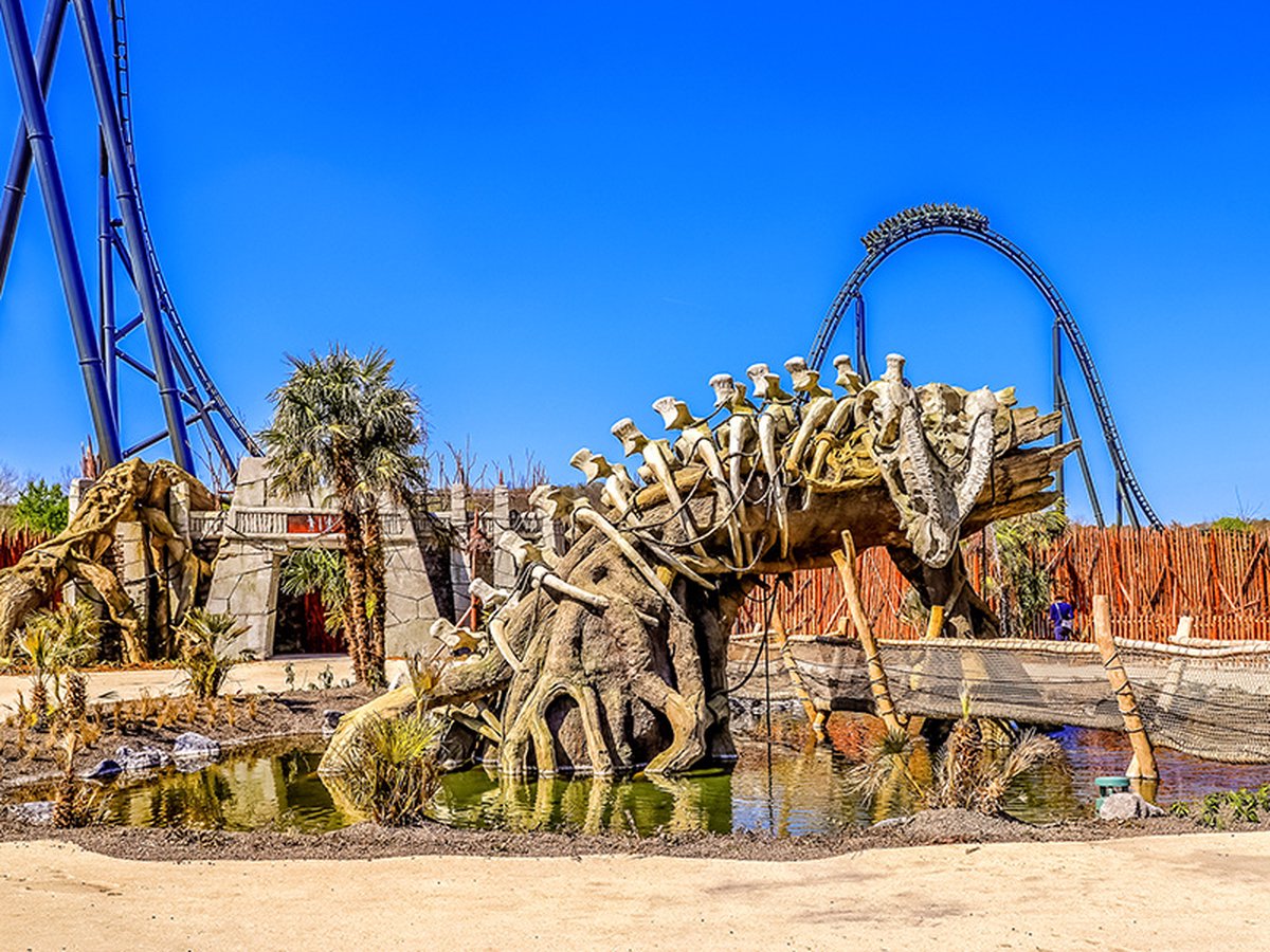 Bongo Bon - DAGJE WALIBI VANAF JULI TOT OKTOBER VOOR 1 VOLWASSENE EN 1 ...