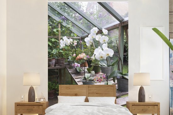 Behang - Fotobehang Bloeiende orchidee in een kas - Breedte 180 cm x ...