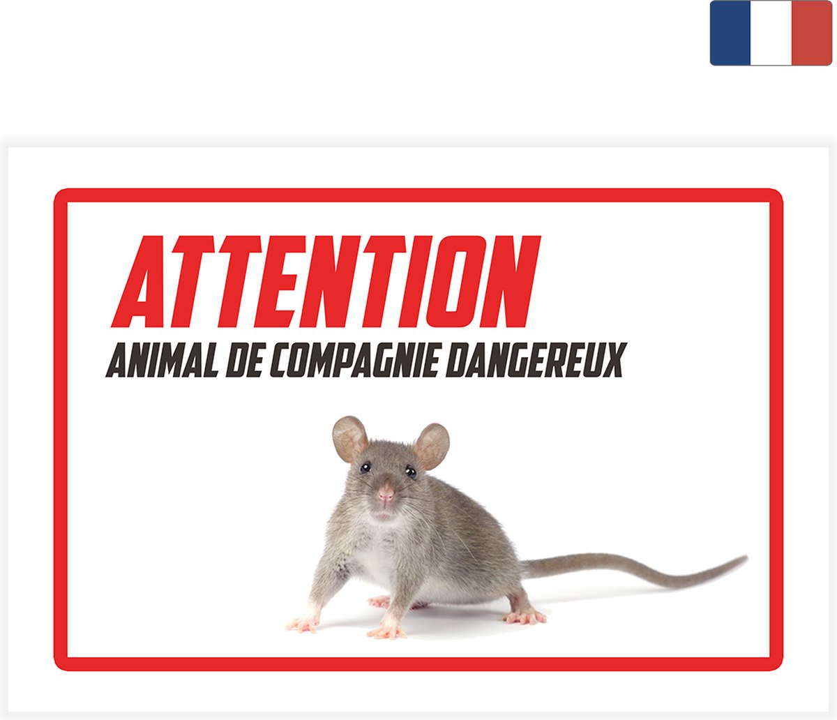 Signe | Panneau | "Attention! Animal de compagnie dangereux" | 30 x 20 ...
