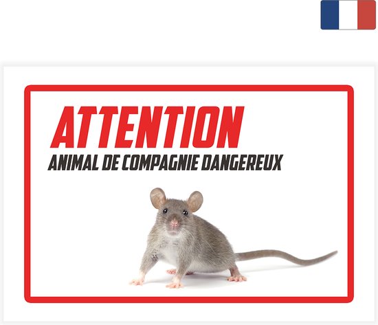 Signe | Panneau | "Attention! Animal de compagnie dangereux" | 30 x 20 ...