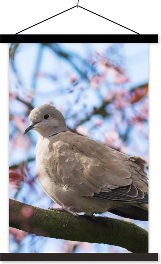 Posterhanger incl. Poster 60x90 cm - Schoolplaat - Vogel - Bloemen - Duif - Bloesem... | bol