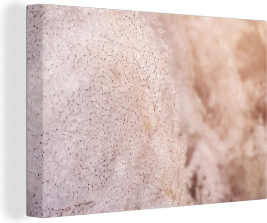 Canvas schilderij 150x100 cm - Wanddecoratie Pampasgras - Structuur - Planten - Natuur... | bol