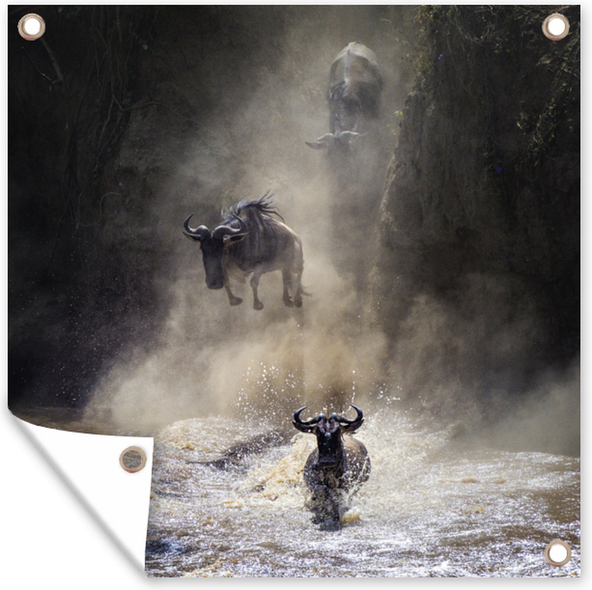 Tuin poster Gnoes springen in een rivier tijdens de jaarlijkse migratie ...