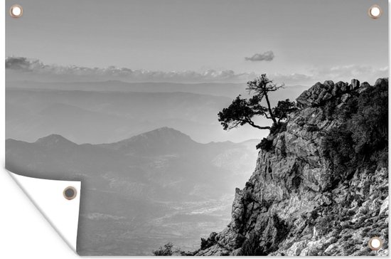 Tuindecoratie Een boom vanuit Italiaanse rots - zwart wit - 60x40 cm ...