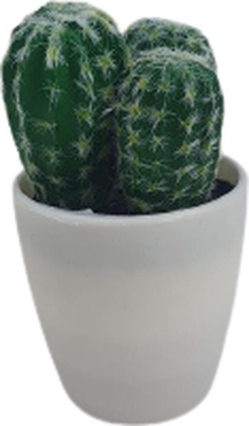 Mini Cactus - Set van 2 - Wit / Groen - Kunststof / Keramiek - Plantjes ...