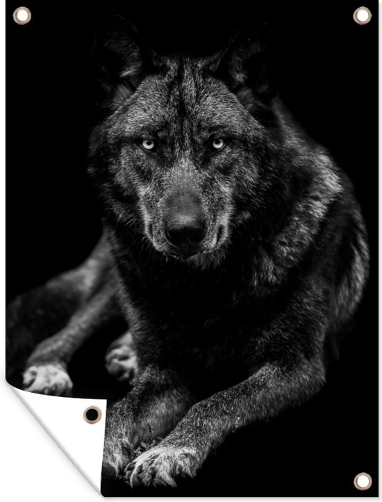 Tuin decoratie Dieren - Wolf - Zwart - Wit - Portret - 30x40 cm ...