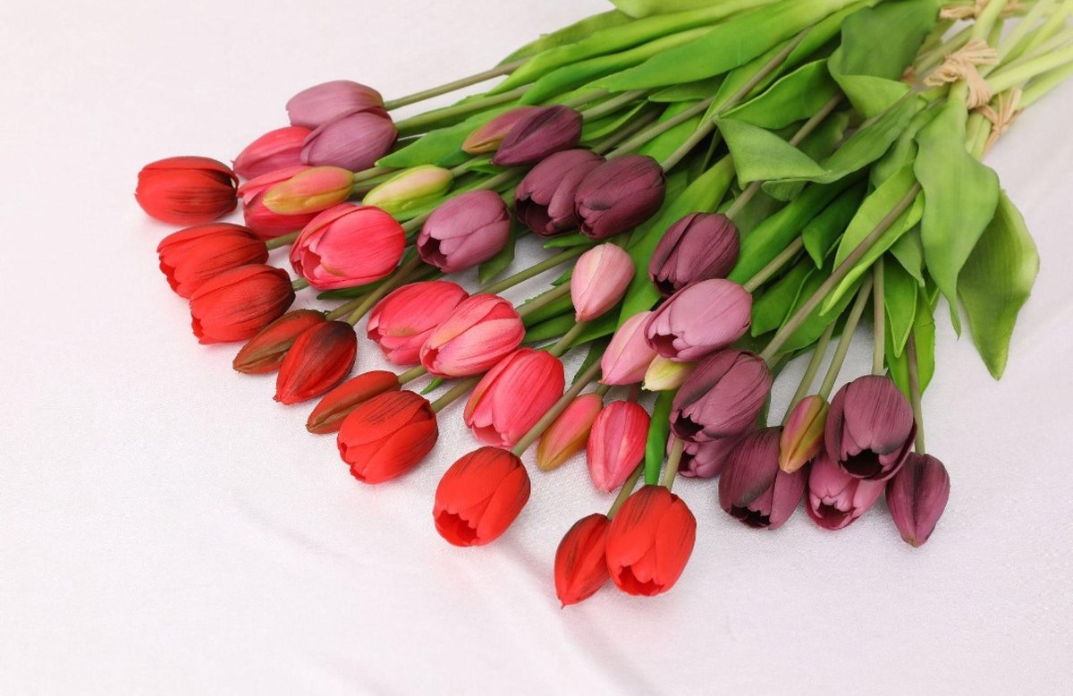 Real Touch Tulips - Red - Real Touch Tulpen - Rood - Tulpen ...