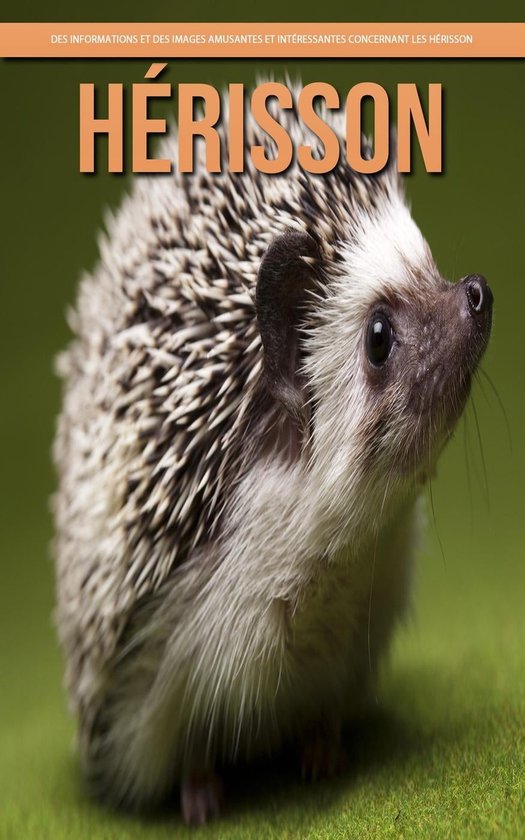 Hérisson – Des Informations et des Images Amusantes et Intéressantes ...