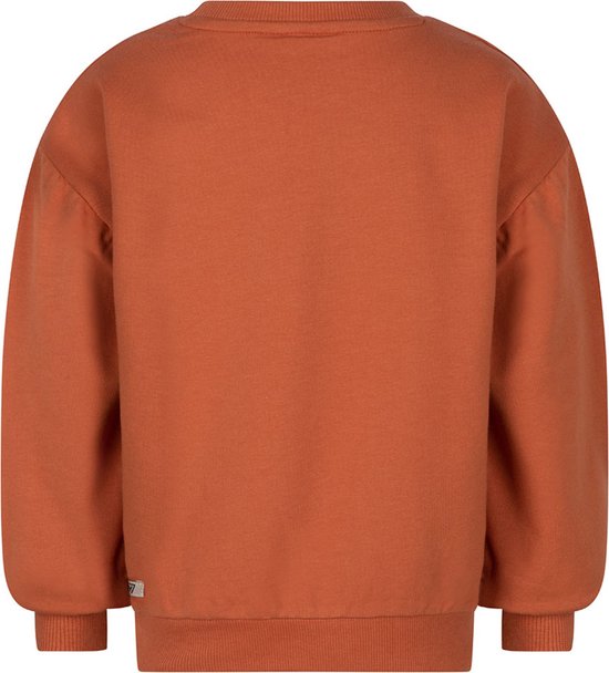 Daily7 meisjes sweater Le Futur Dusty Terra Cotta | bol.com