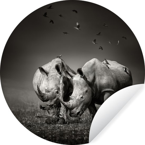 Behangcirkel - Zelfklevend behang - Dieren - Vogels - Neushoorn - Gras - Natuur -... | bol