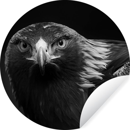 Behangcirkel - Zelfklevend behang - Dieren - Buizerd - Vogel - Zwart - Wit - 100x100... | bol